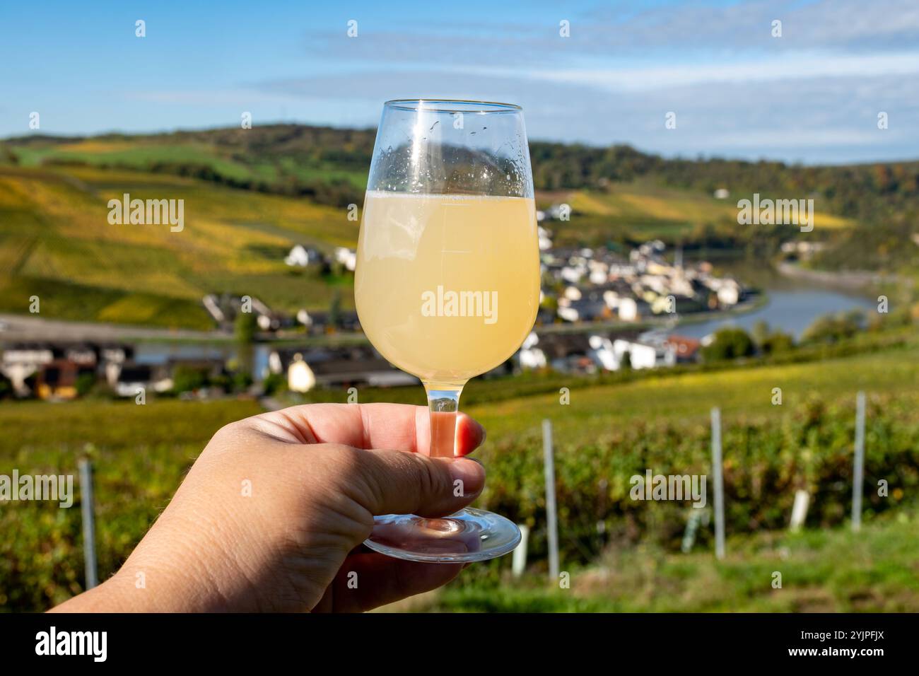 Neuer Wein Ratsel