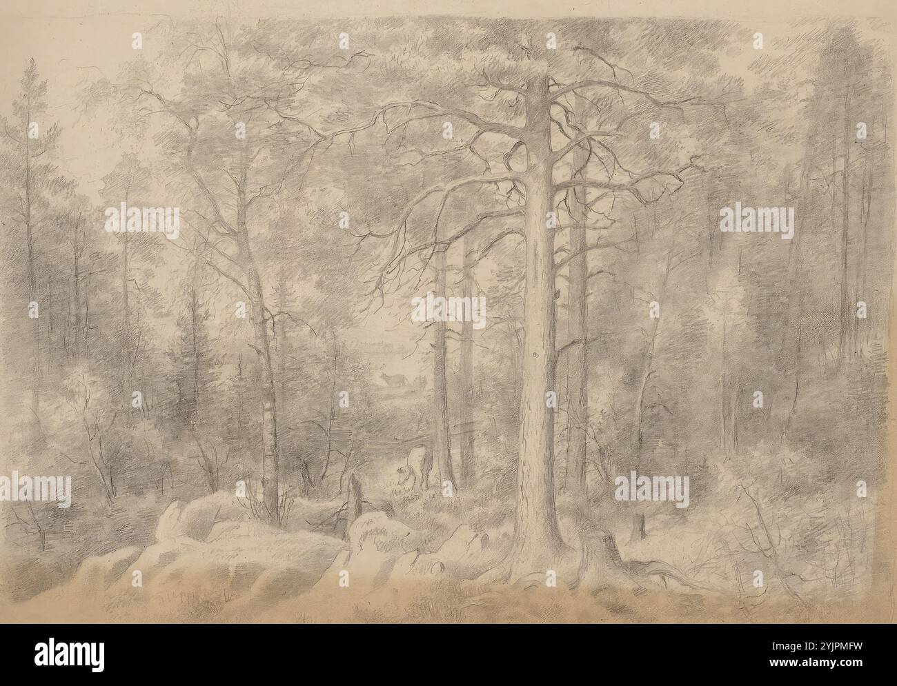 Wright, Ferdinand von, work, Forest interior with a few cows, pencil ...