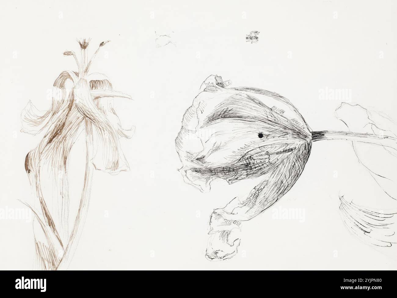 Wiik, Maria, Sketch book, drawing, Wiik, Maria, unscheduled, Maria ...