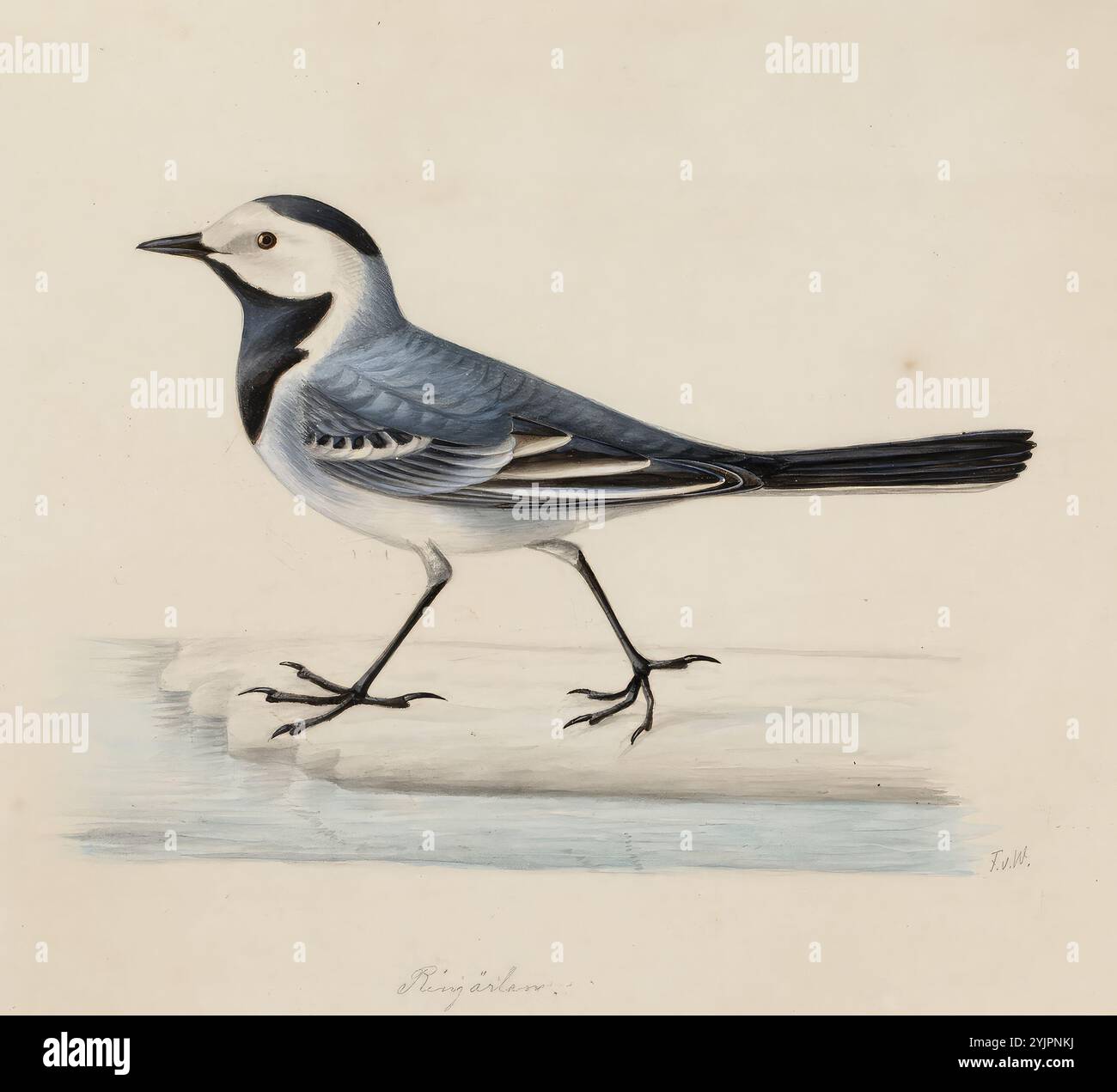 Wright, Ferdinand von, Caricatures; people with animal head, 1880s ...