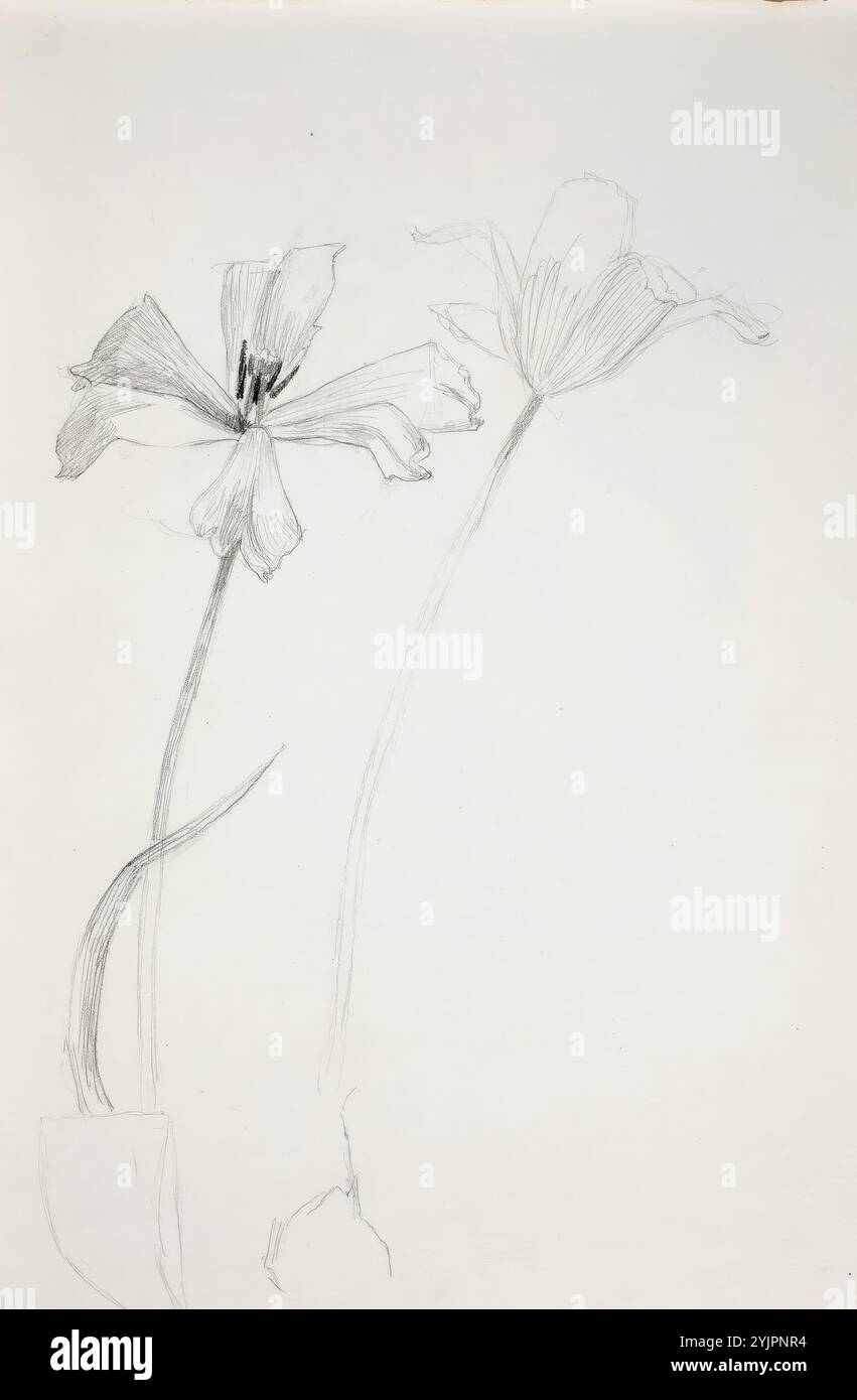 Wiik, Maria, Sketch book, drawing, 18.5 cm x 26.5 cm, Wiik, Maria, part ...