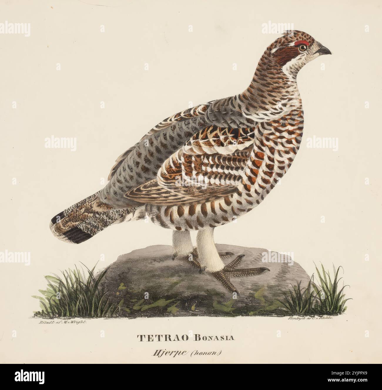 Ukrainian born russian painter hi-res stock photography and images - Alamy