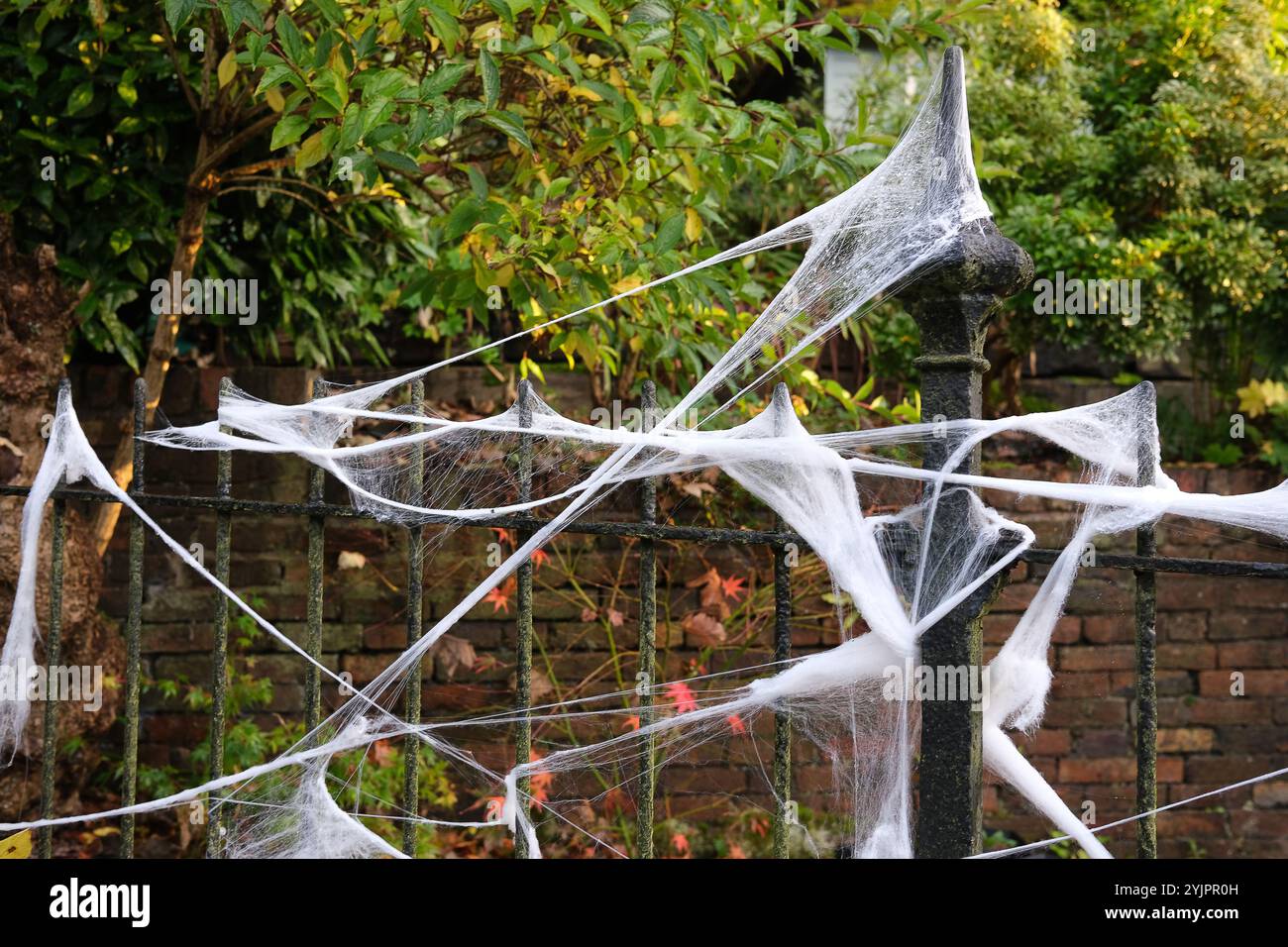 Fake Spider Web Spray on fence for Halloween, Britain, Uk Stock Photo ...