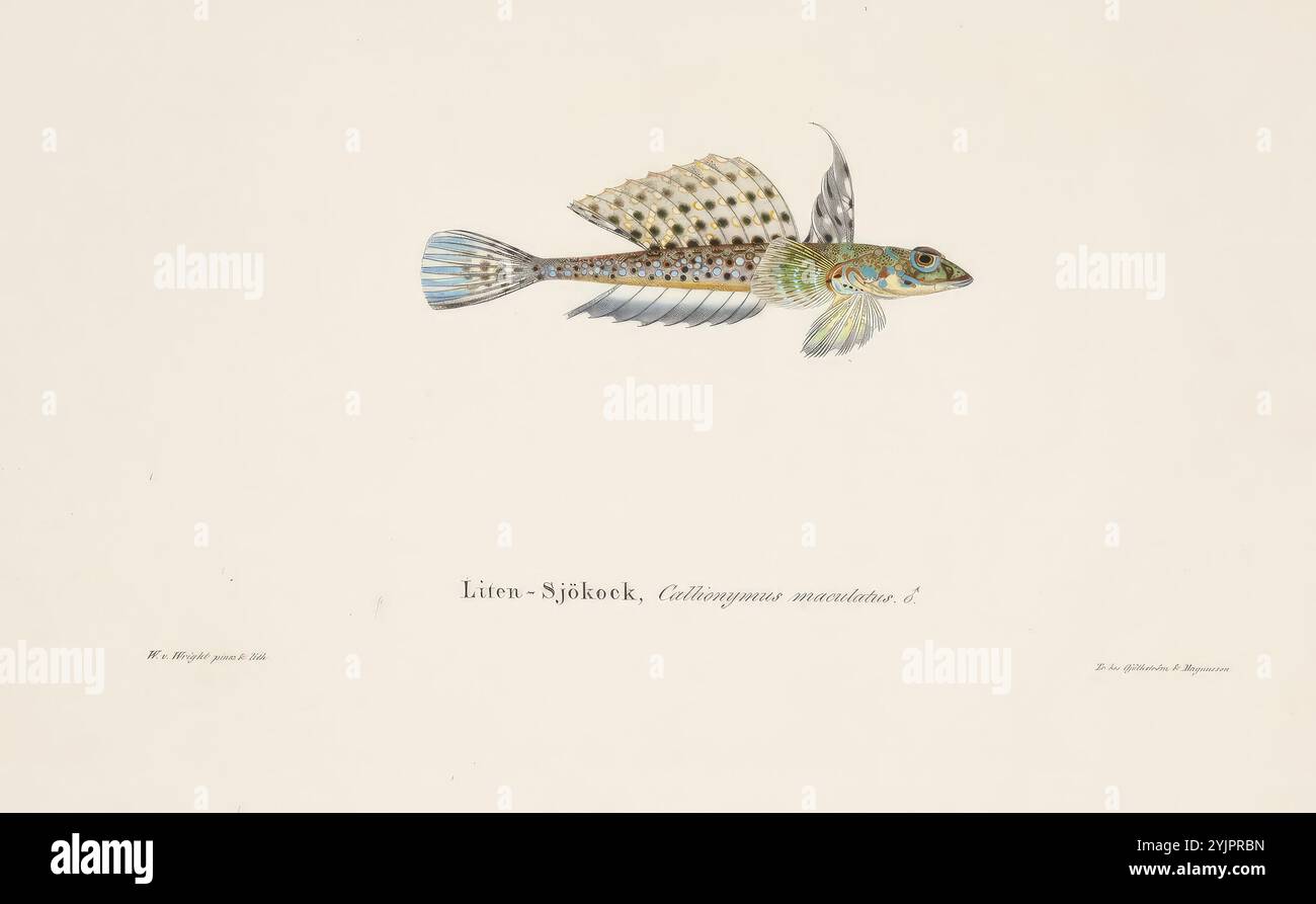 Wiik, Maria, Sketch book, undateable, drawing, Wiik, Maria, Maria ...