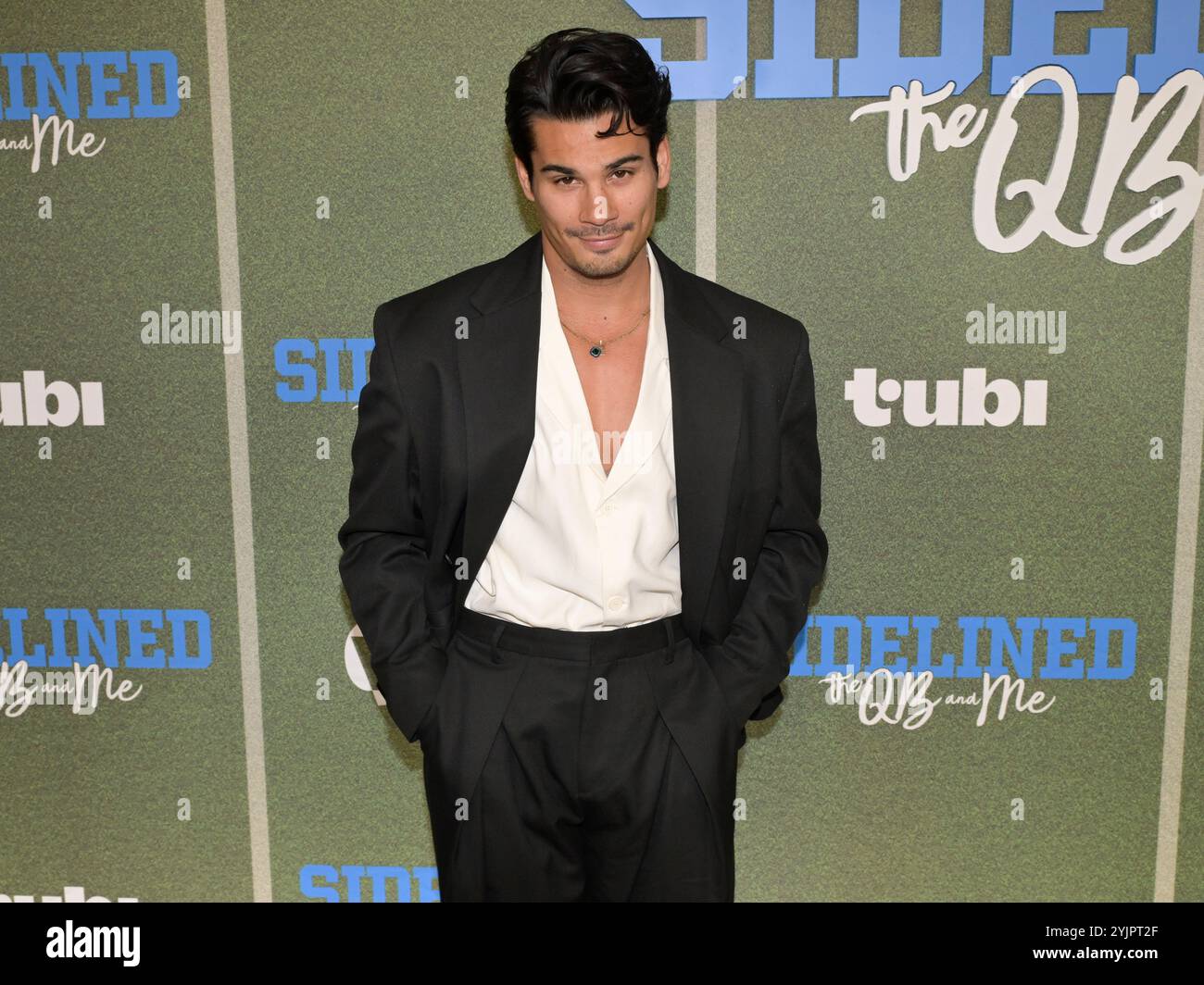 November 14, 2024, West Hollywood, California, USA: Drew Ray Tanner ...