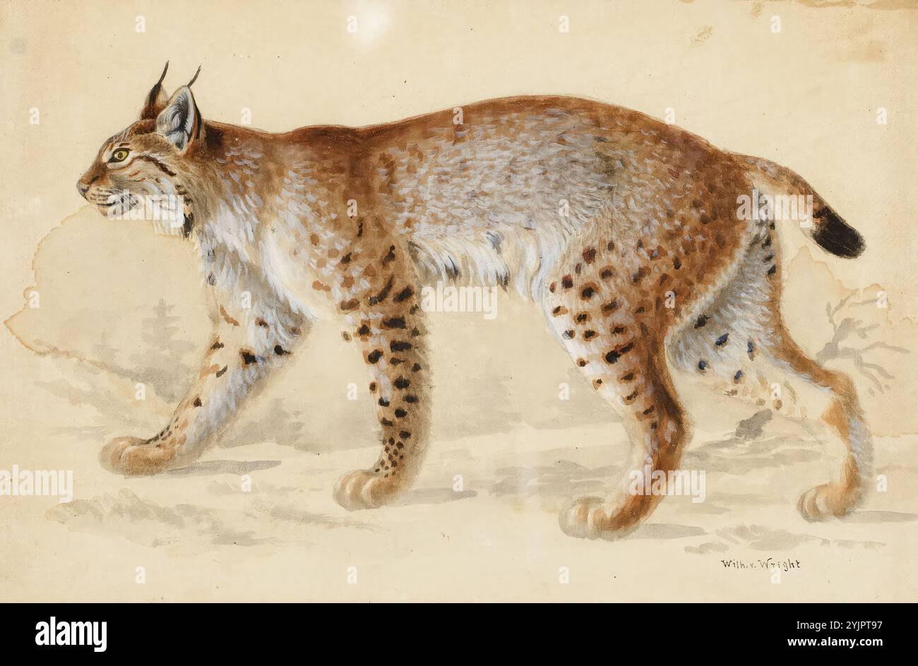 Wiik, Maria, work, Academy exercise according to a living model ...