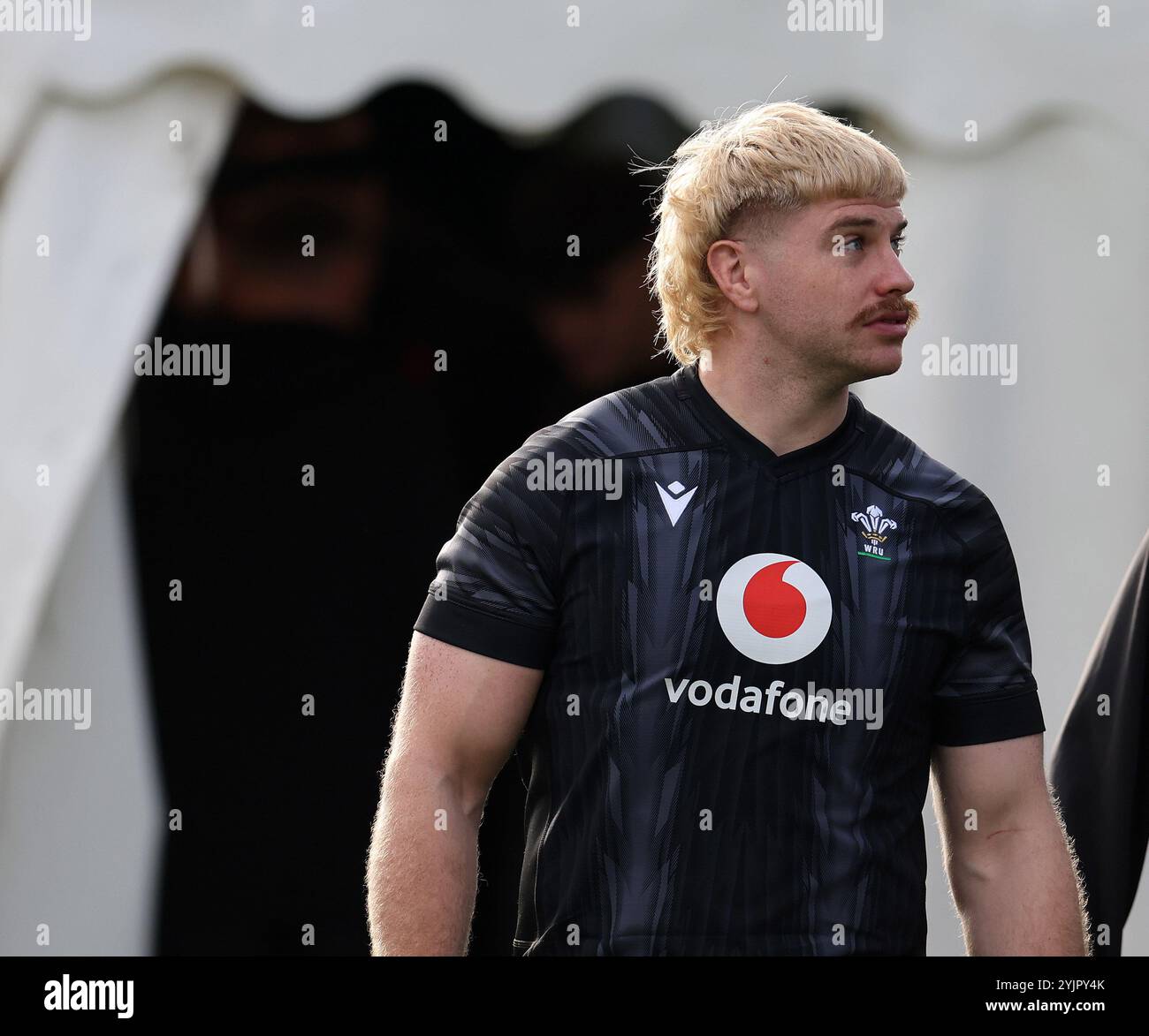 Cardiff, UK. 15th Nov, 2024. Aaron Wainwright of Wales during the Wales ...