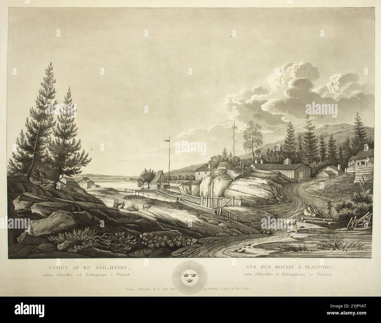 Stoop, Dirk (Thierry), work, Reluctant horse, (1000 - 2003), line ...