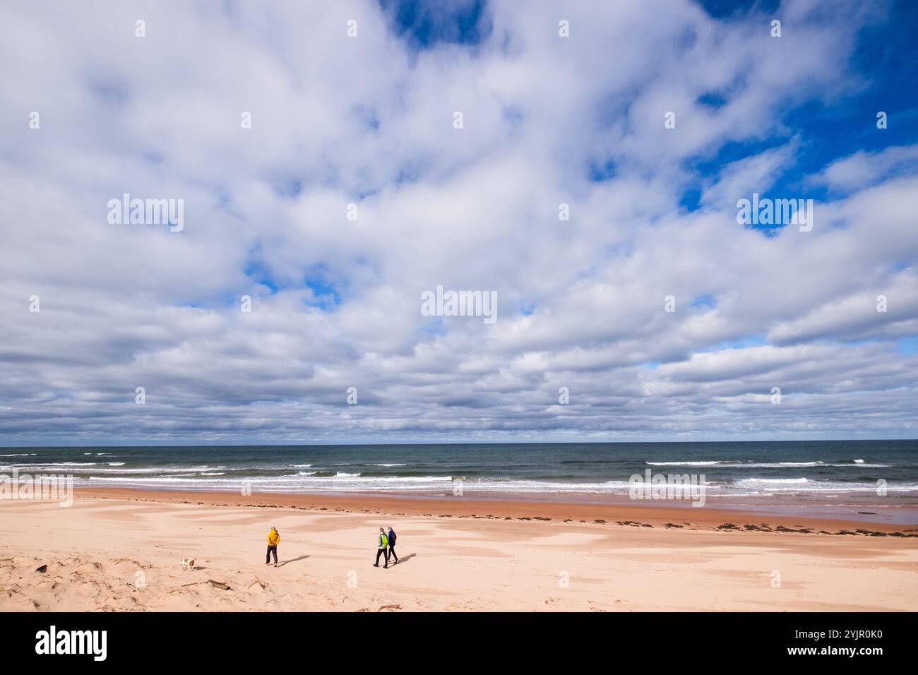 Big sweeping view of the sea coast shore on Prince Edward Island ...