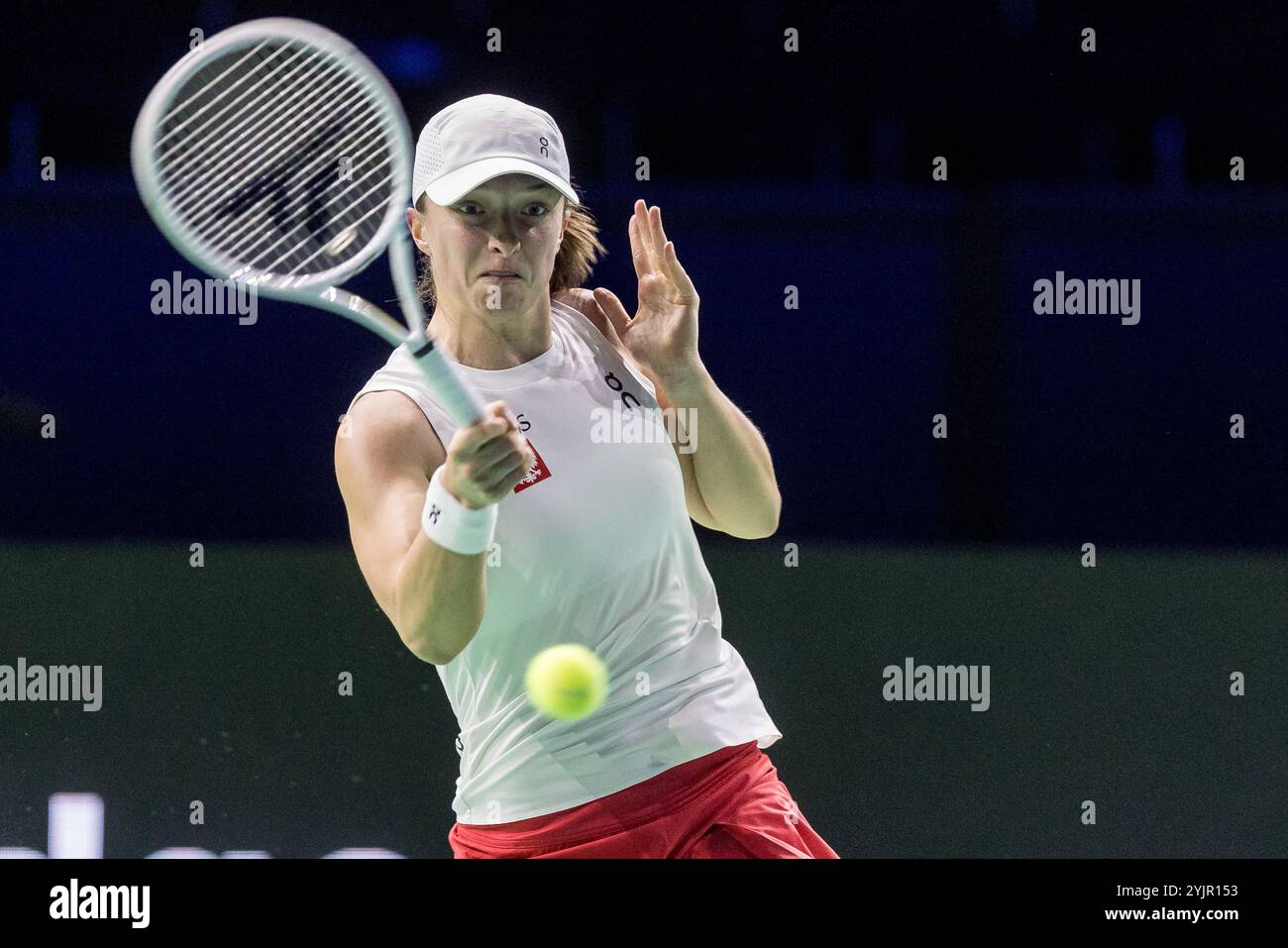 15th November 2024; Palacio de Deportes Jose Maria Martin Carpena Arena ...