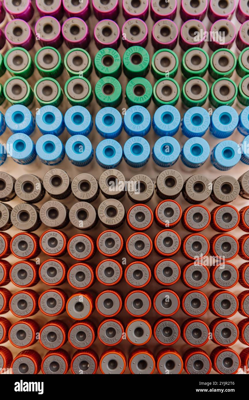 Colorful vacuum blood collection tubes arranged in rows for laboratory ...
