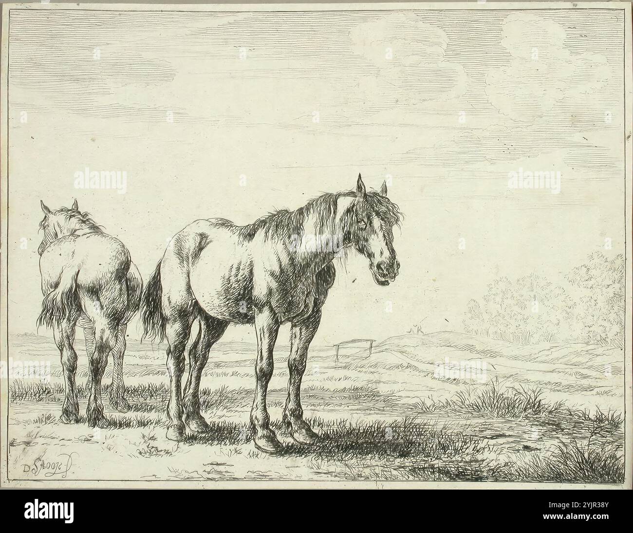 Stoop, Dirk (Thierry), work, Two horses in a pasture, the left one ...