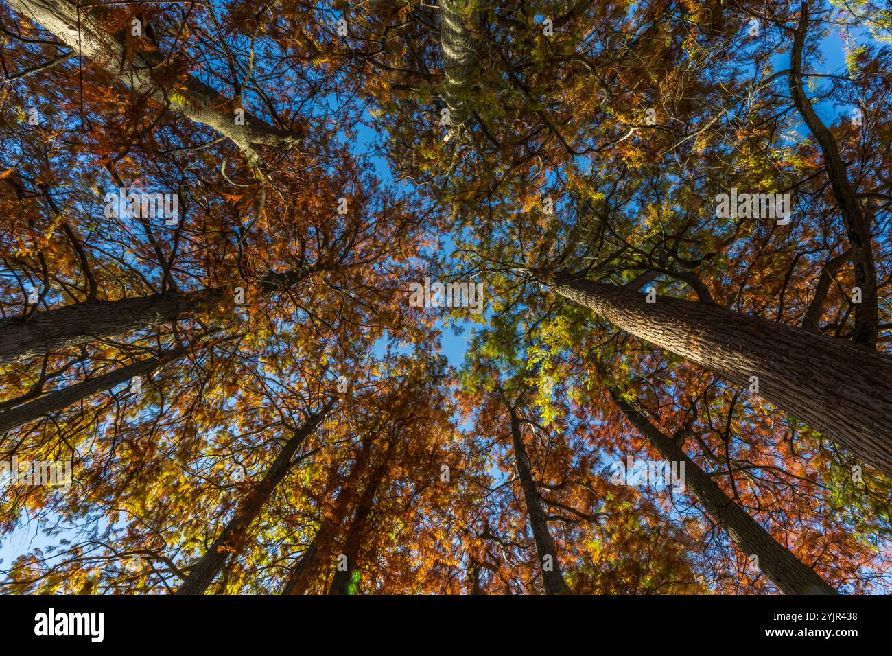 spring grove cemetery cincinnati ohio Stock Photo - Alamy