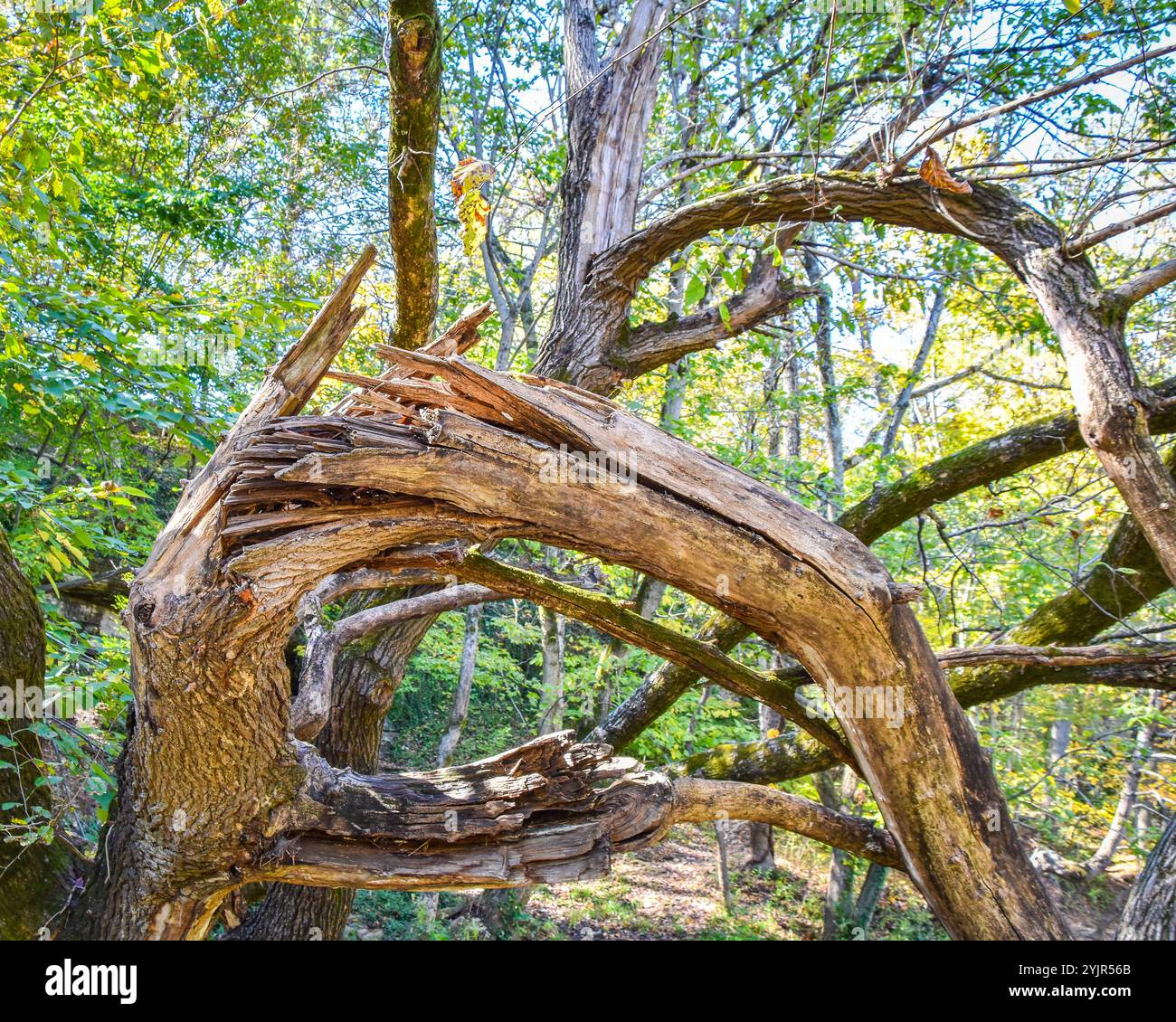 Splintered hi-res stock photography and images - Alamy