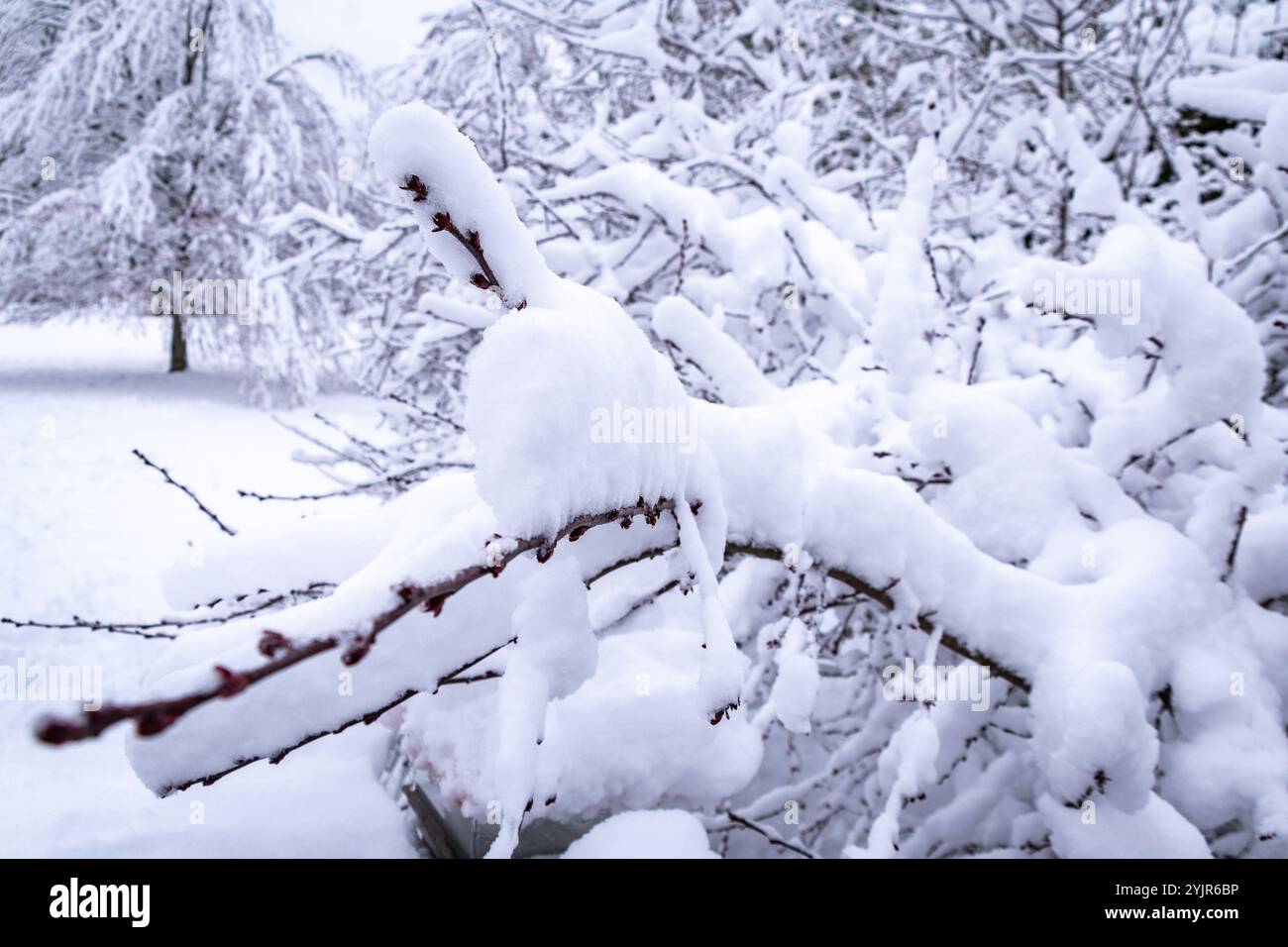 Heavy snowfall on new hi-res stock photography and images - Alamy