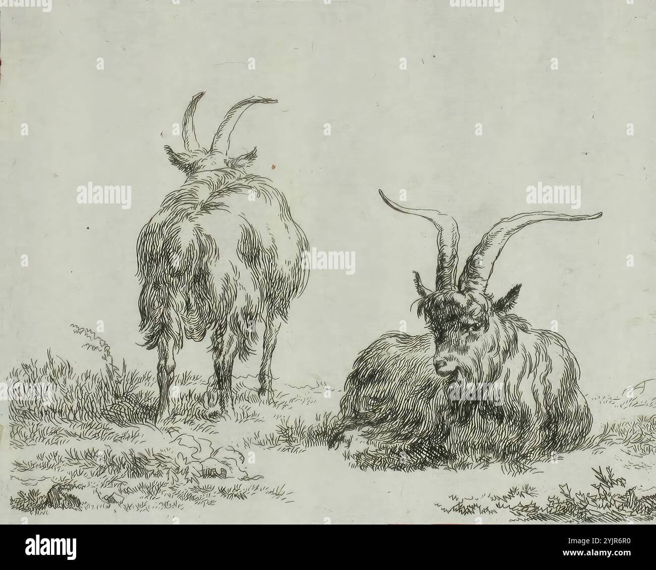 Berghem, Nicolas, A goat lying on its back and a goat standing on its ...