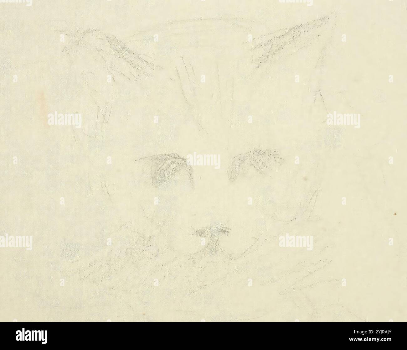 Wiik, Maria, work, Cat's face, pencil, drawing, 9.5 cm x 11.4 cm, Maria ...