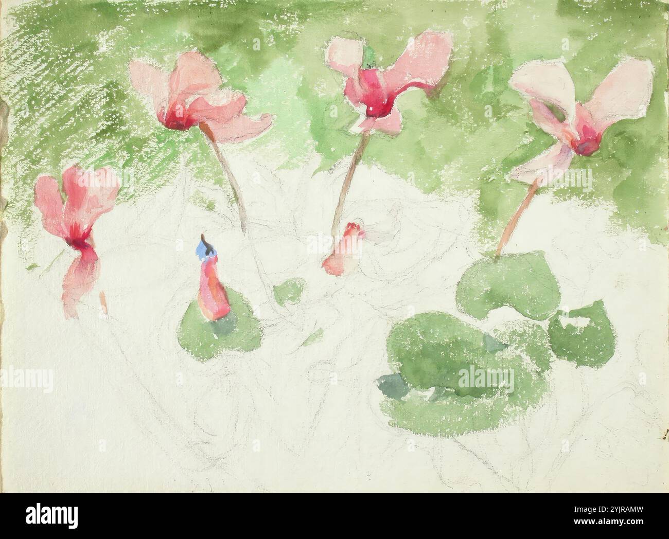 Wiik, Maria, work, Cyklaameja, watercolor, painting, 24.7 cm x 33 cm ...