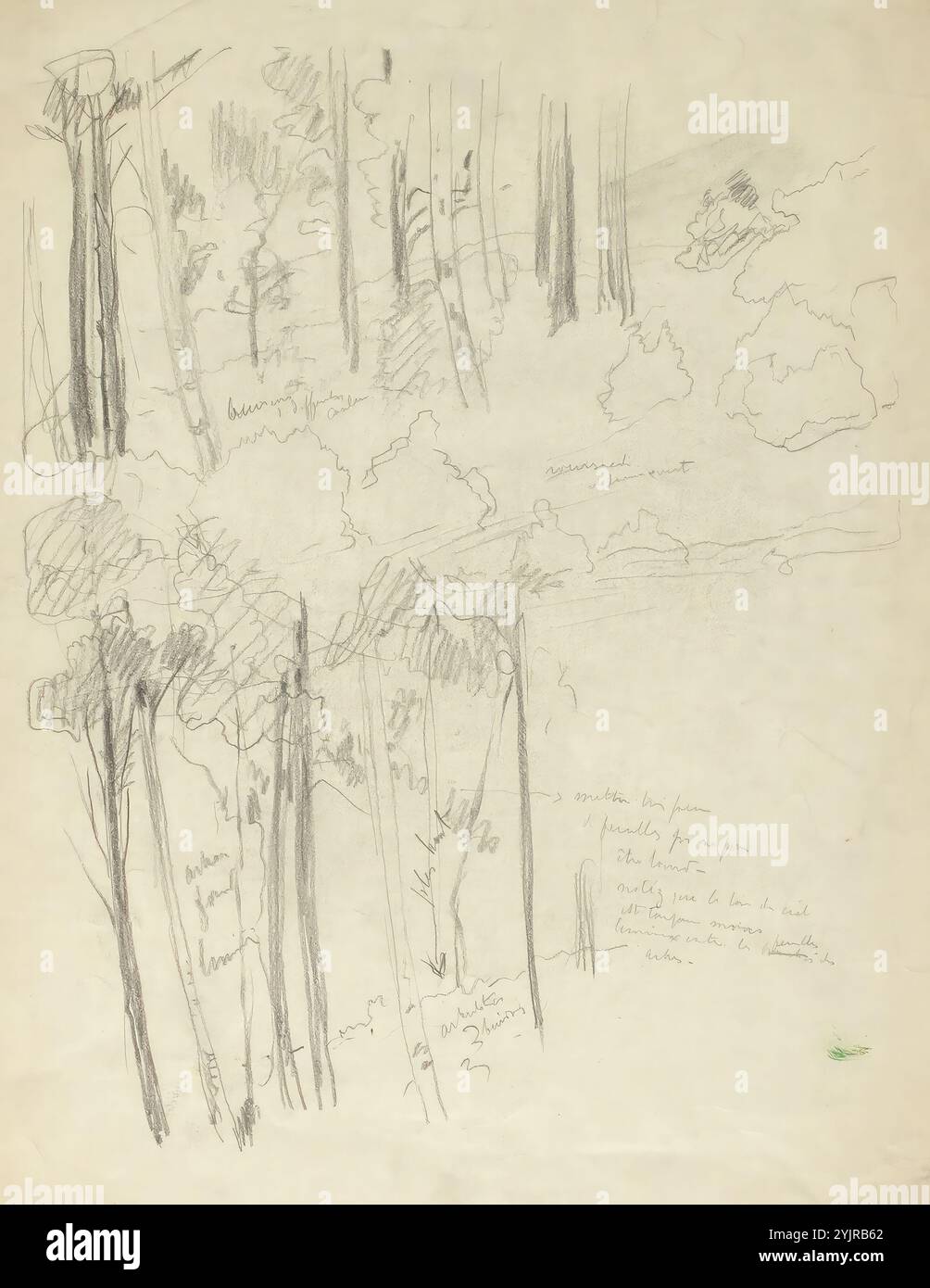 Finch, Alfred William, work, Forest exercises, pencil, drawing, 39.5 cm ...