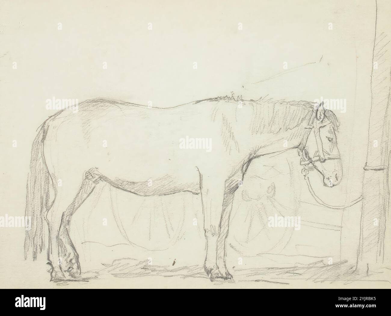 Becker, Adolf von, work, Horse, ink and pencil, drawing, ANIMAL; horse ...