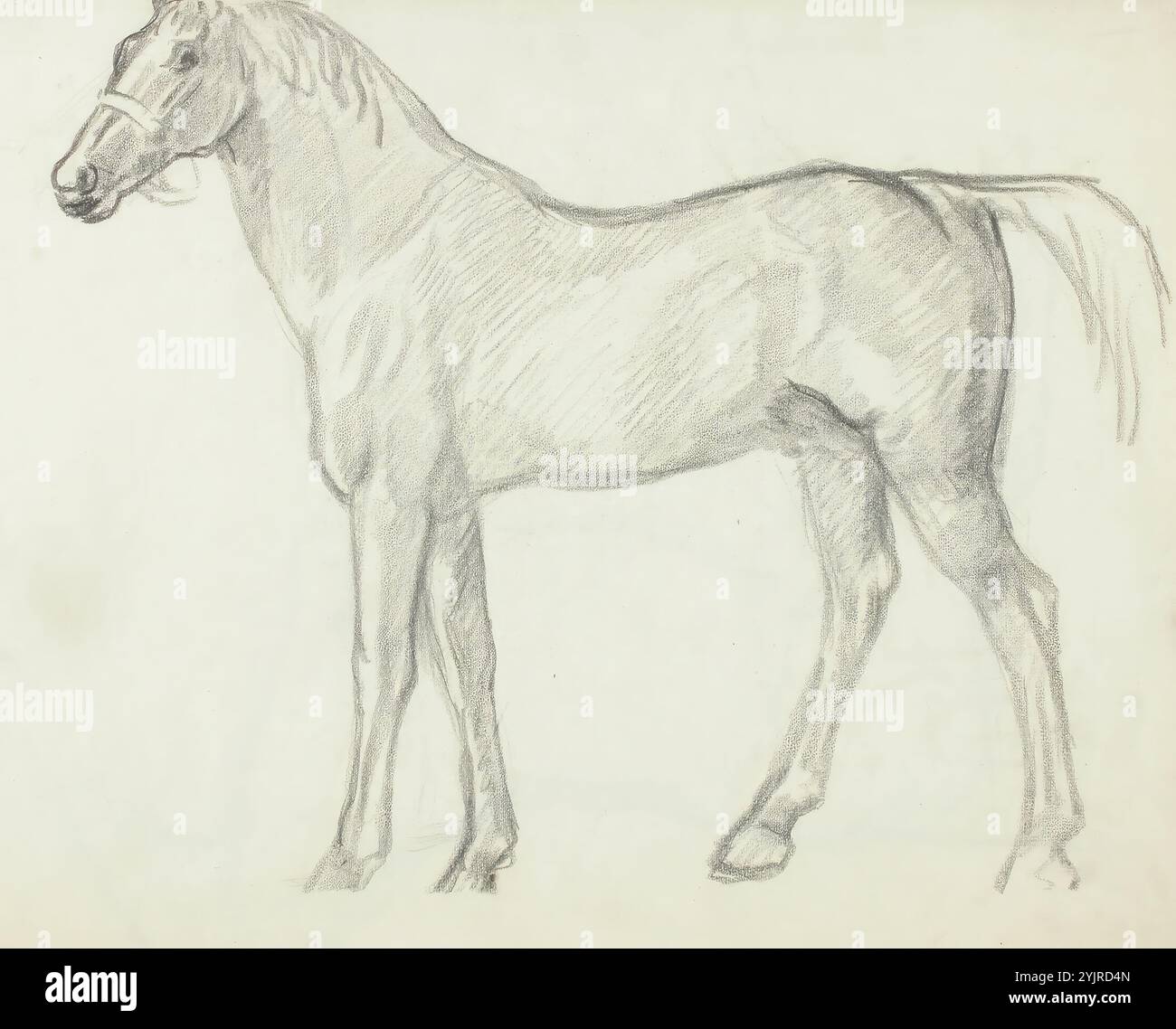 Work horse hi-res stock photography and images - Alamy