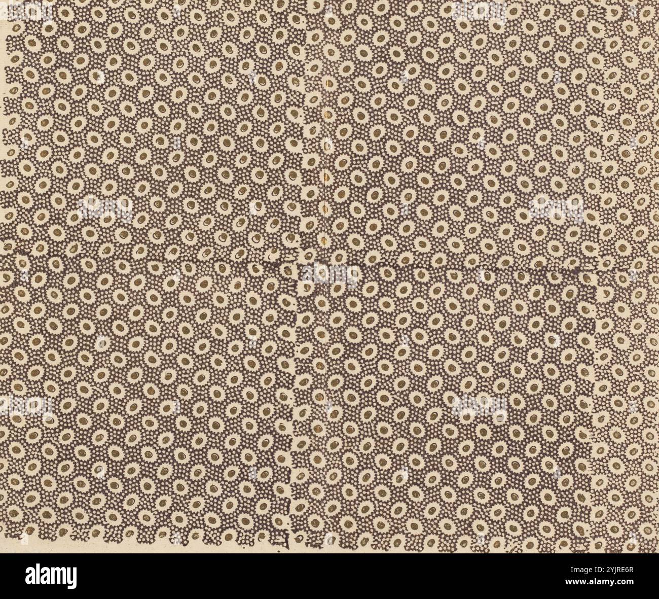 Paper starch gold paint hi-res stock photography and images - Alamy