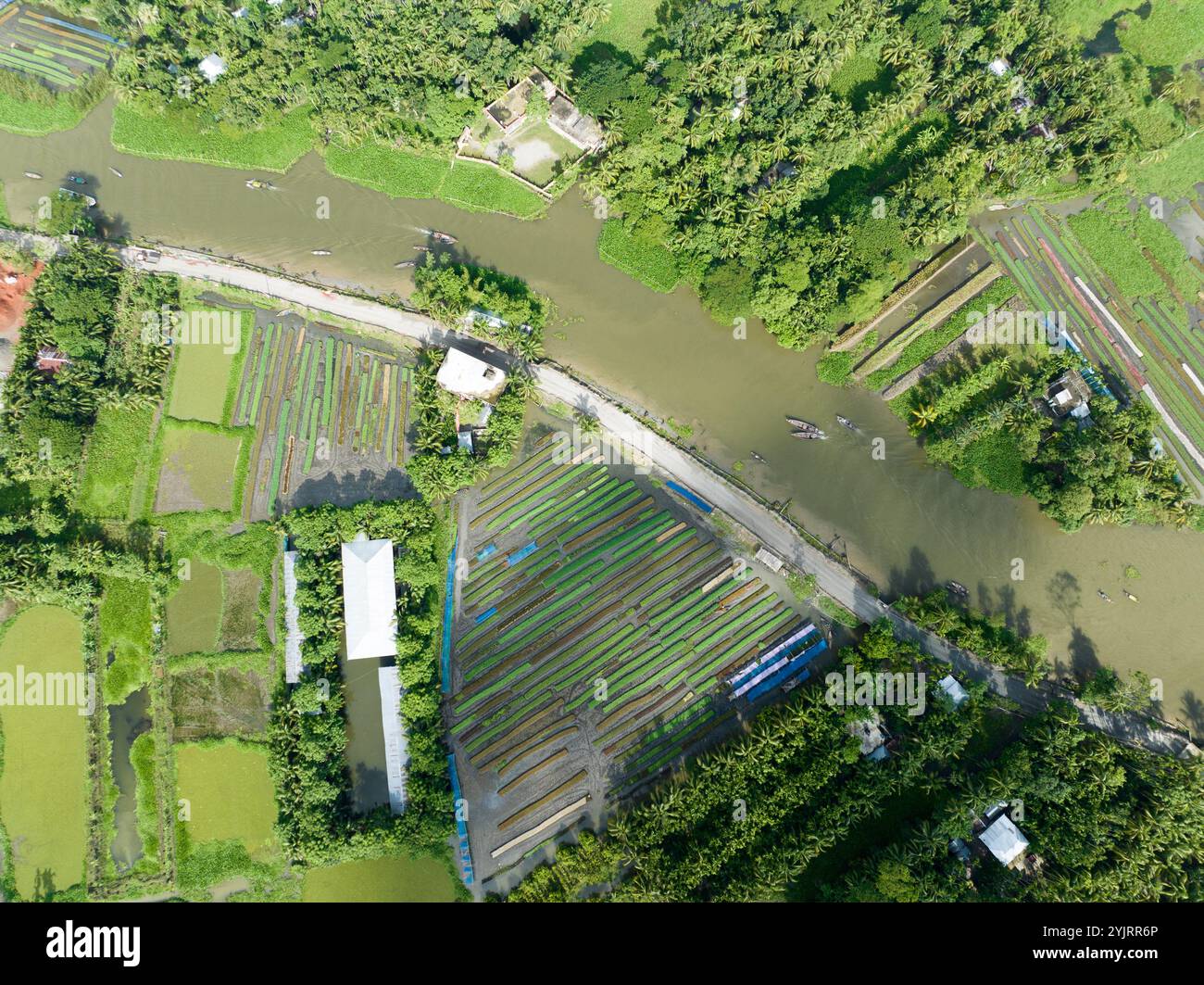 Farmers in low laying areas in Bangladesh choose floating farming ...
