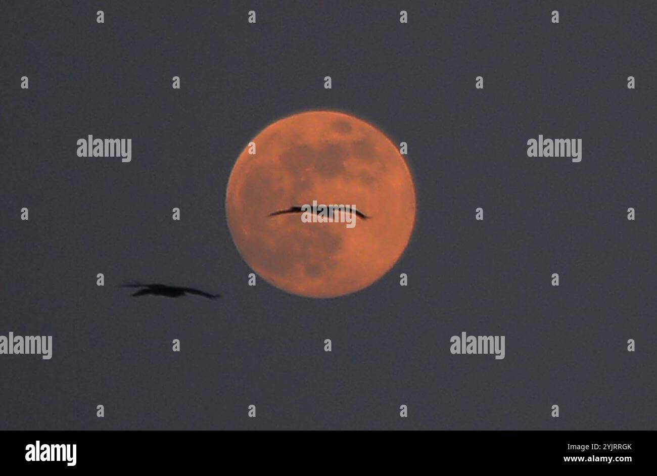 A beautiful eye-catching view of moon, captured over the horizon of ...