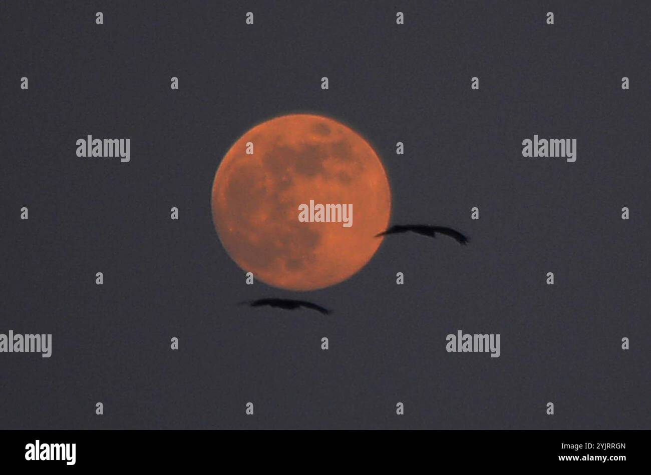 A beautiful eye-catching view of moon, captured over the horizon of ...