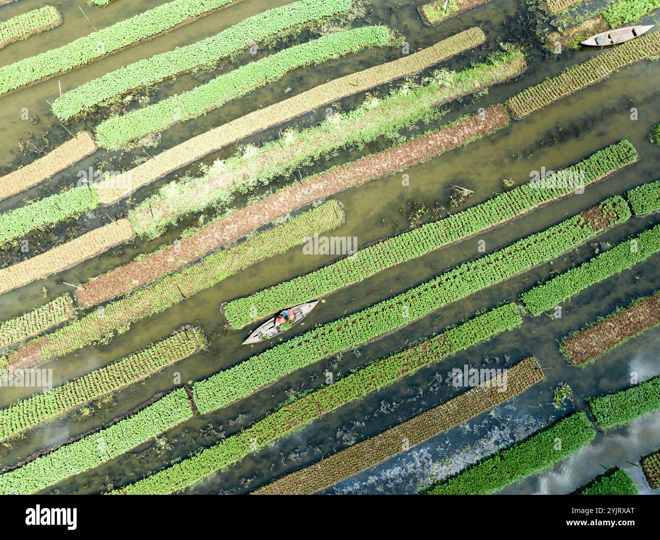 Farmers in low laying areas in Bangladesh choose floating farming ...