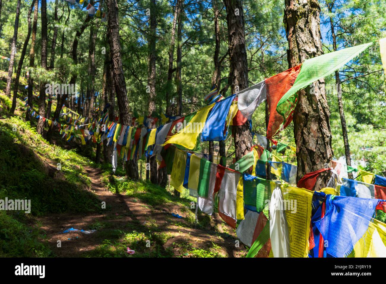Nature and picnic hiking landscape Stock Photo - Alamy