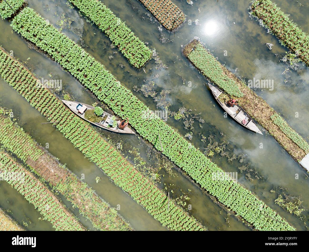 Floating farming process hi-res stock photography and images - Alamy