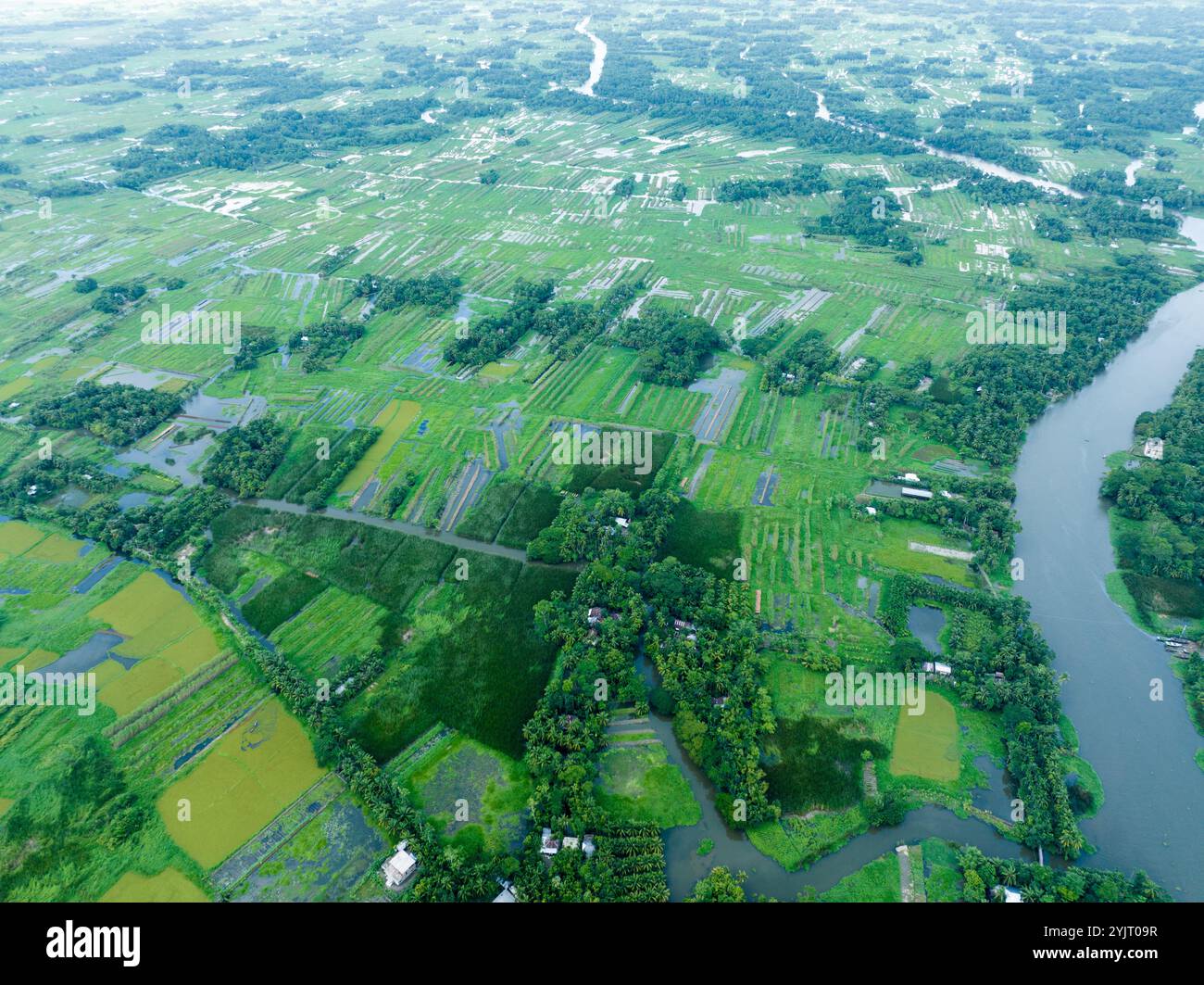 Farmers in low laying areas in Bangladesh choose floating farming ...