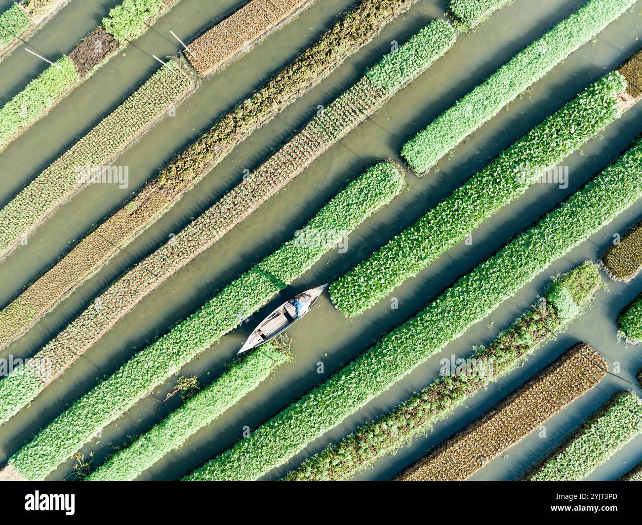 Farmers in low laying areas in Bangladesh choose floating farming ...