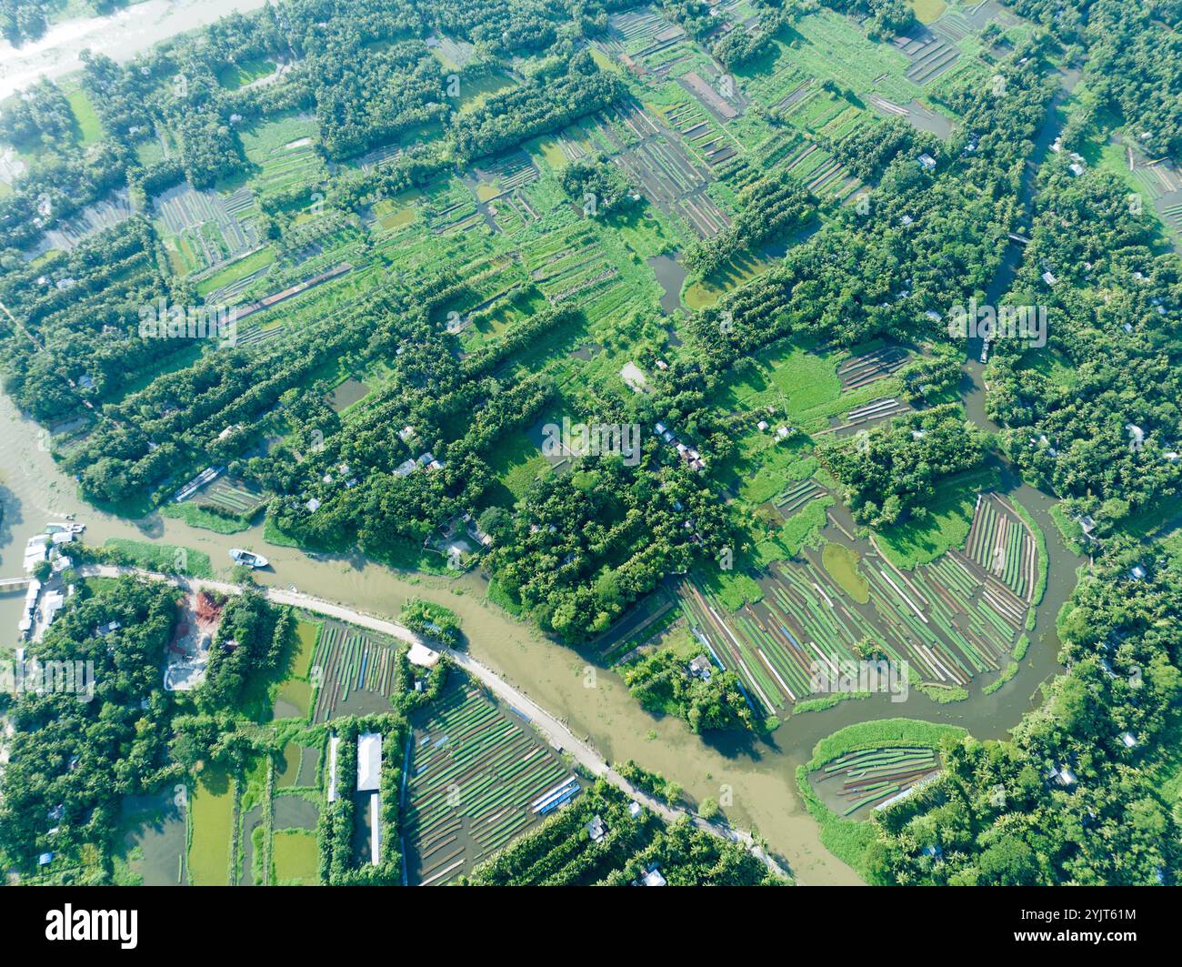 Farmers in low laying areas in Bangladesh choose floating farming ...