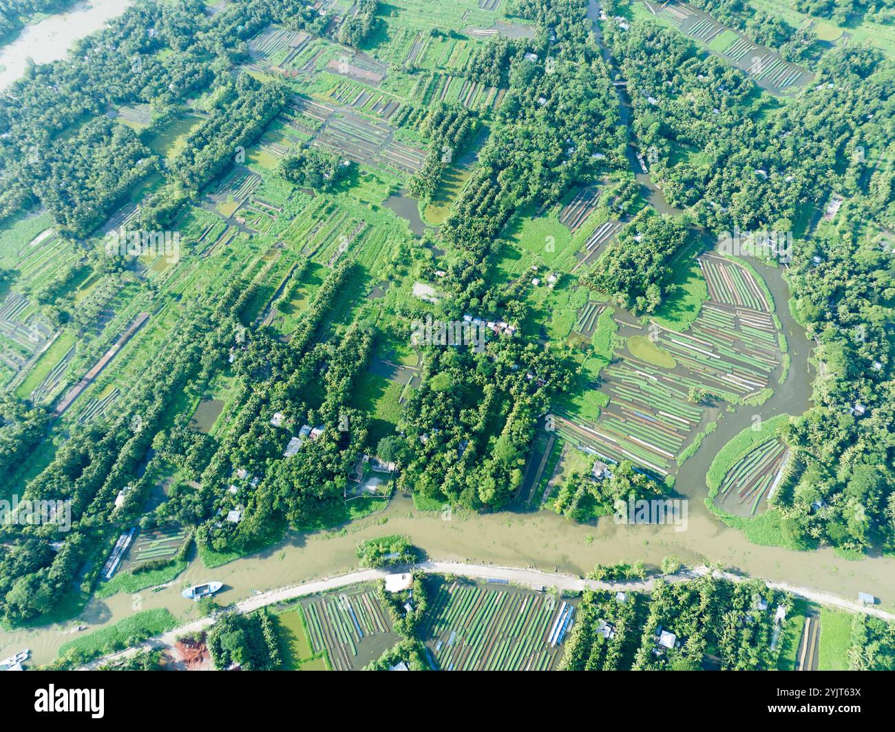 Farmers in low laying areas in Bangladesh choose floating farming ...