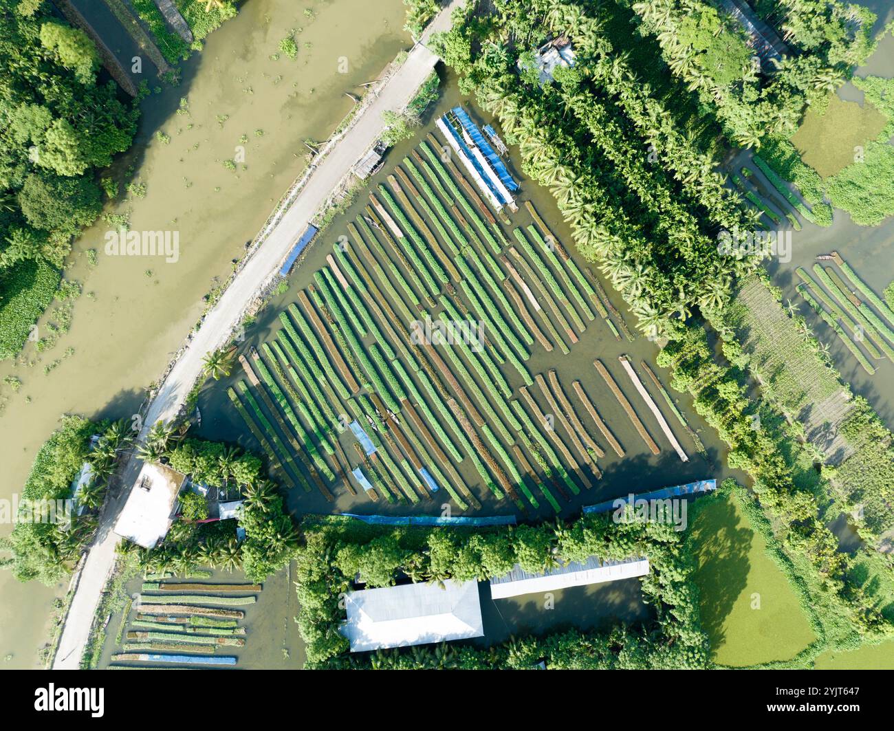 Farmers in low laying areas in Bangladesh choose floating farming ...