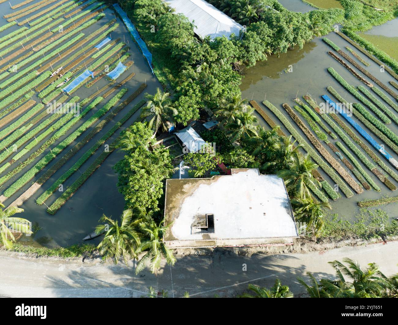 Farmers in low laying areas in Bangladesh choose floating farming ...
