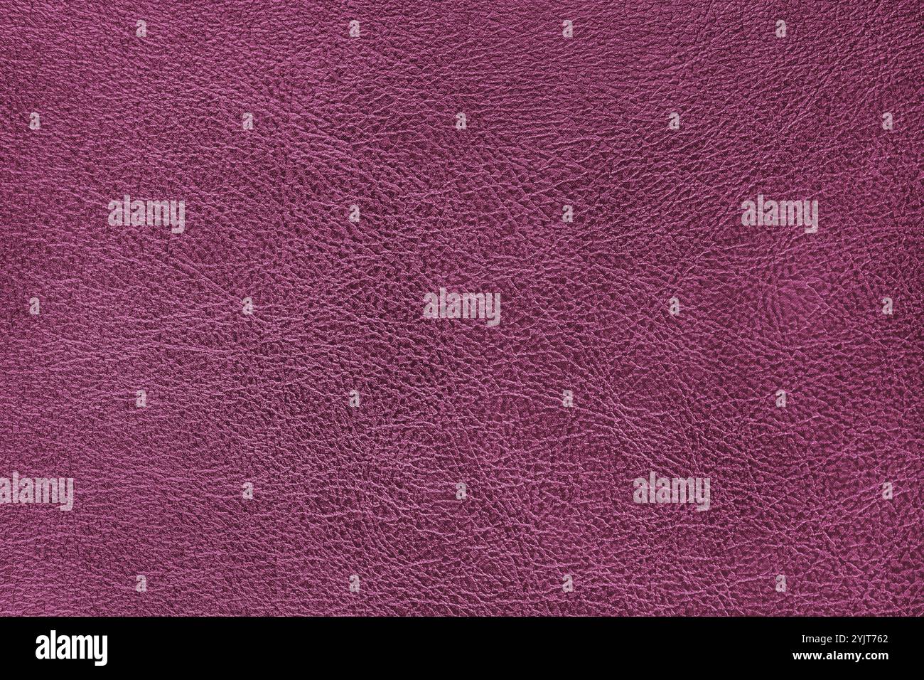 Structure of genuine leather surface with slightly grainy texture macro ...