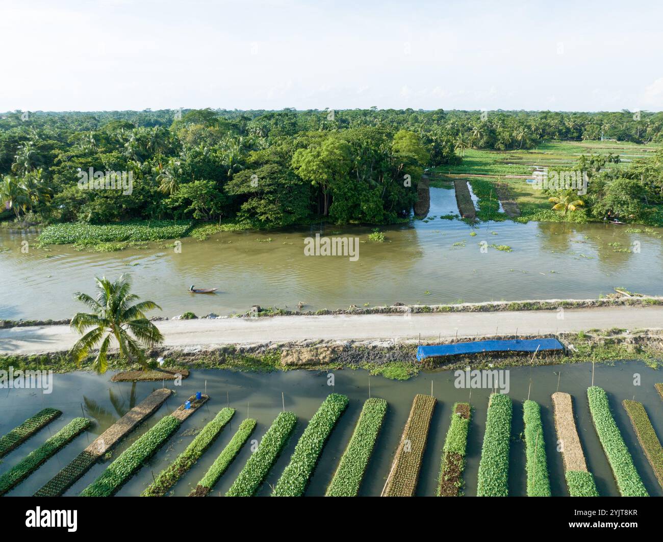 Farmers in low laying areas in Bangladesh choose floating farming ...