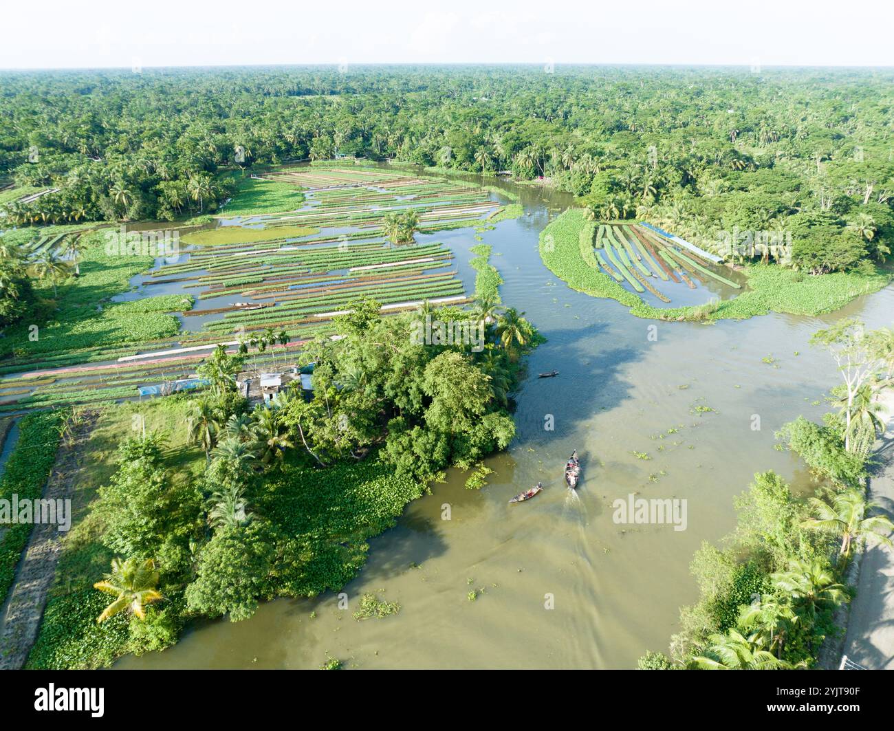 Farmers in low laying areas in Bangladesh choose floating farming ...