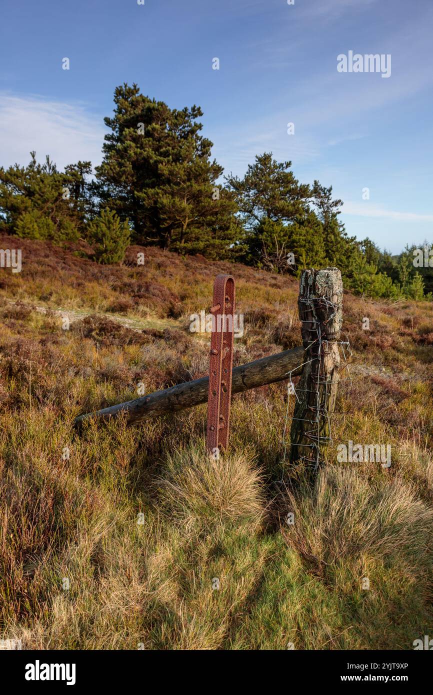 Fence on Offas Dyke path, Moel Famau, Clwydian Range, North Wales Stock ...