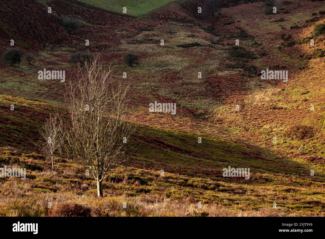Clwydian Range and the Vale of Clwyd, North Wales Stock Photo - Alamy