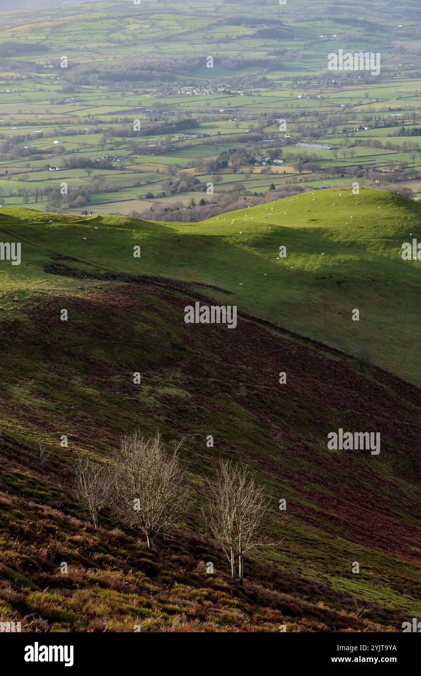 Clwydians hi-res stock photography and images - Alamy