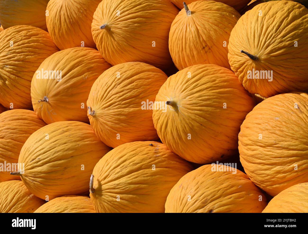 Meloni di pachino hi-res stock photography and images - Alamy