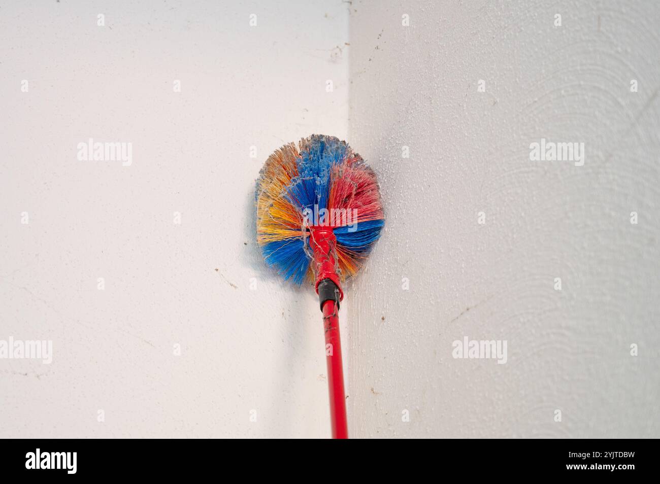 Housekeeping spider hi-res stock photography and images - Alamy