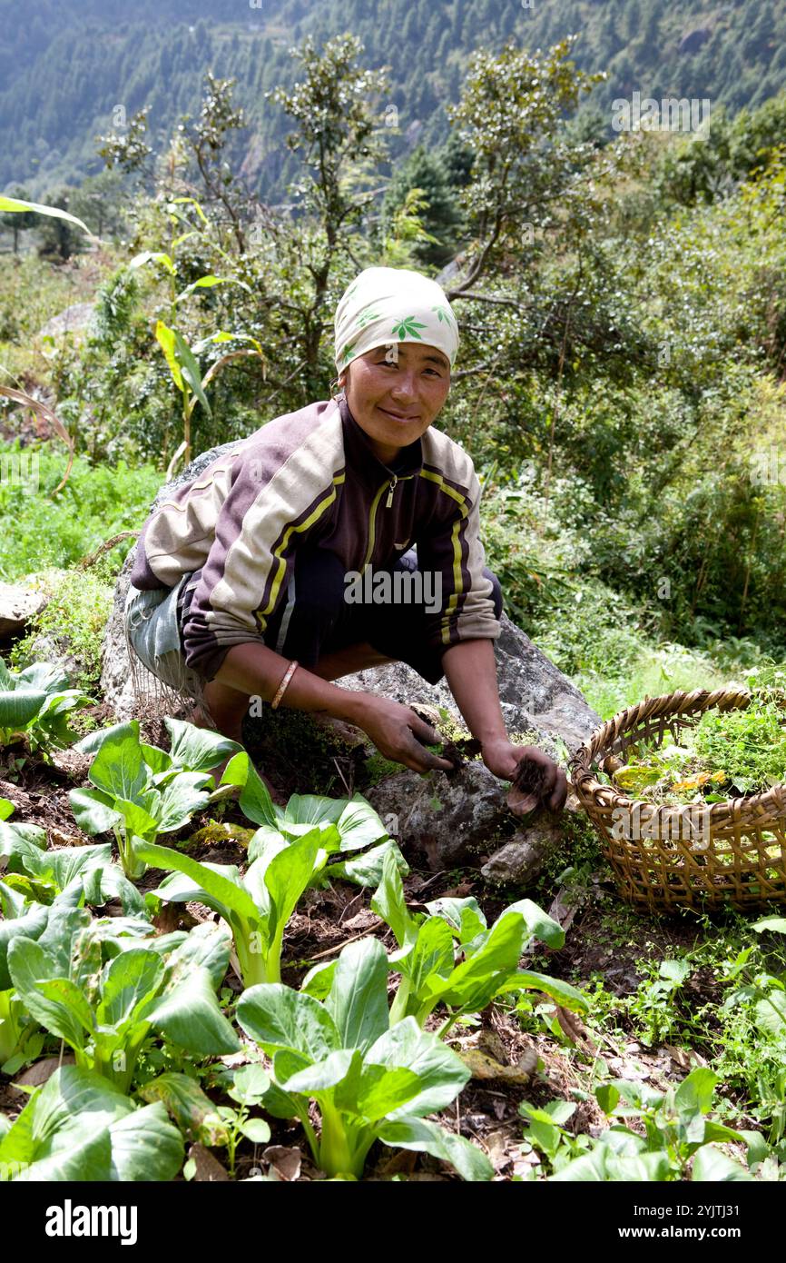 October 2009 WWF Everest / Imja Commission - en route Lukla to Phakding ...
