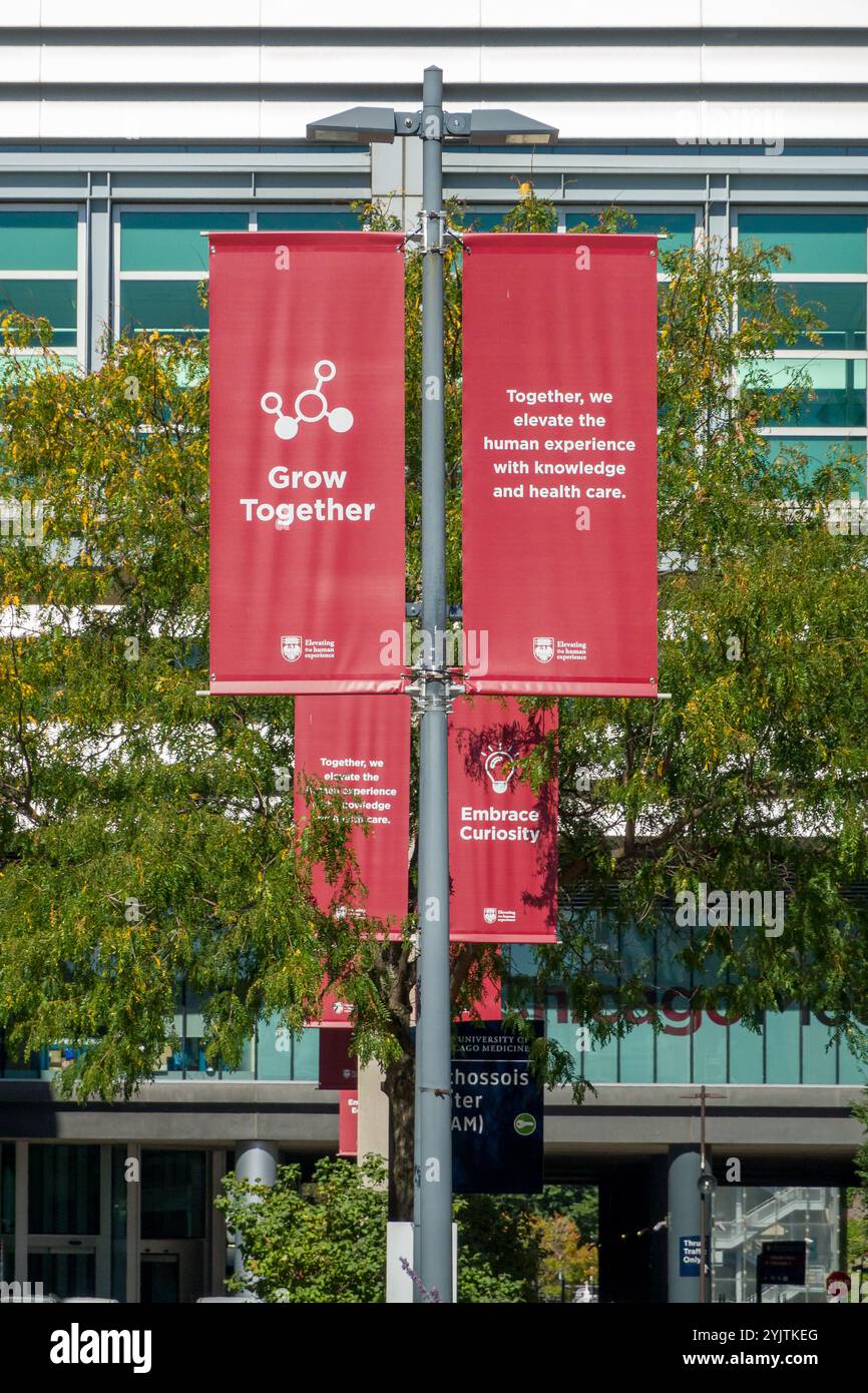 CHICAGO, IL, USA, SEPTEMBER 21, 2024: Flags on the campus of University ...