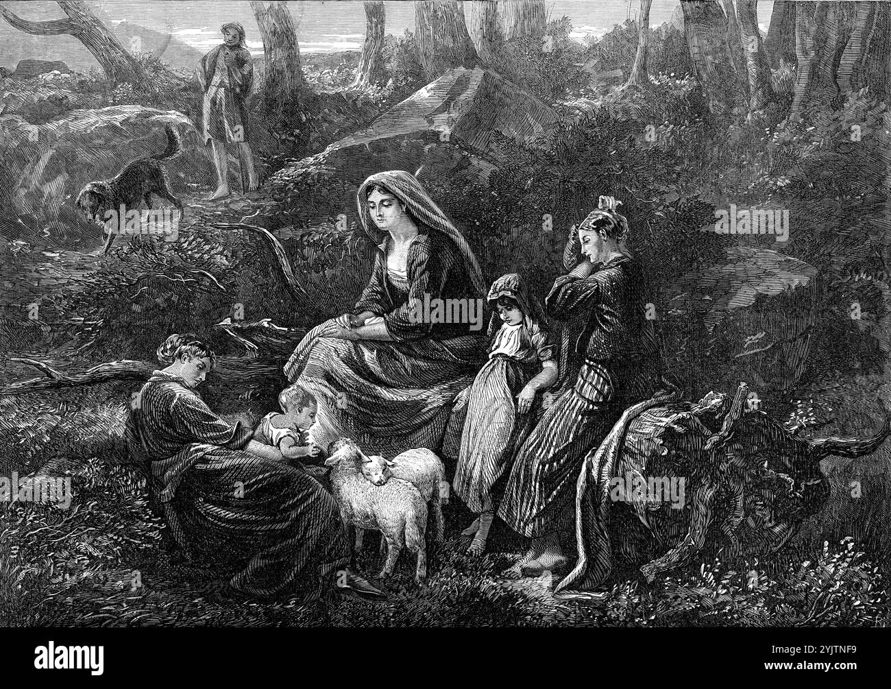 Types of flowers with pictures Black and White Stock Photos & Images ...