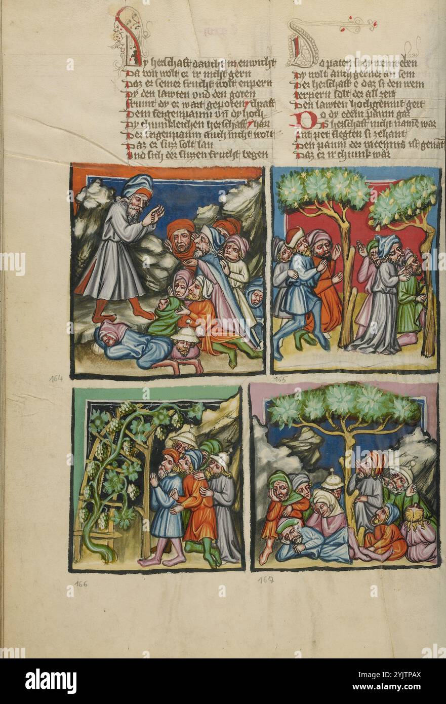 Jothams parable hi-res stock photography and images - Alamy